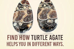 Turtle Agate - Healing Properties, Color, Power & Facts | Gemexi