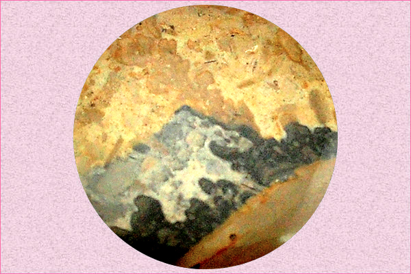 Cotham Landscape Marble - Healing Properties, Color & Facts | Gemexi