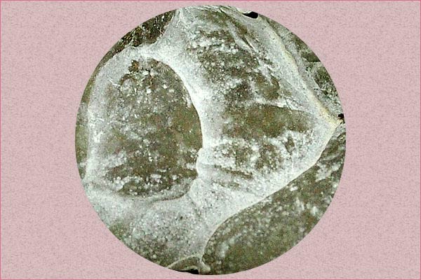 Fairy Stone - Healing Properties, Color, Power & Facts | Gemexi