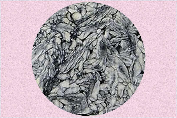 Pinolith - Healing Properties, Color, Power & Facts | Gemexi