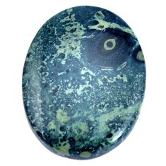 Kambaba Jasper - Healing Properties, Color, Power & Facts | Gemexi
