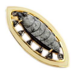 ORTHOCERAS - Healing Properties, Color, Power & Facts