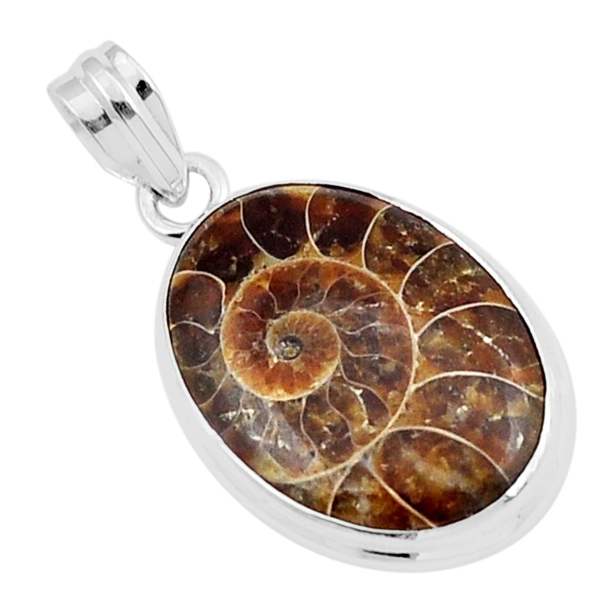 Natural Brown Ammonite Fossil 925 Sterling Silver Pendant Y23382 | Gemexi