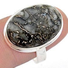 Pinolith - Healing Properties, Color, Power & Facts | Gemexi